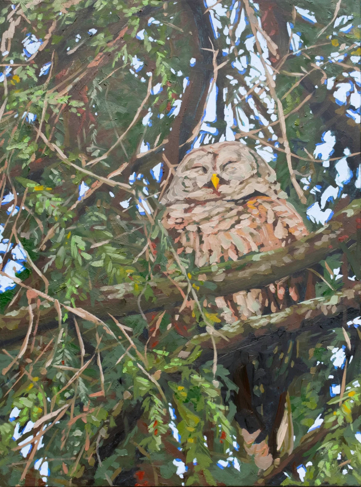 RMFA to showcase works by Haley Johnson in the Carnegie Gallery - Rochester Museum of Fine Arts