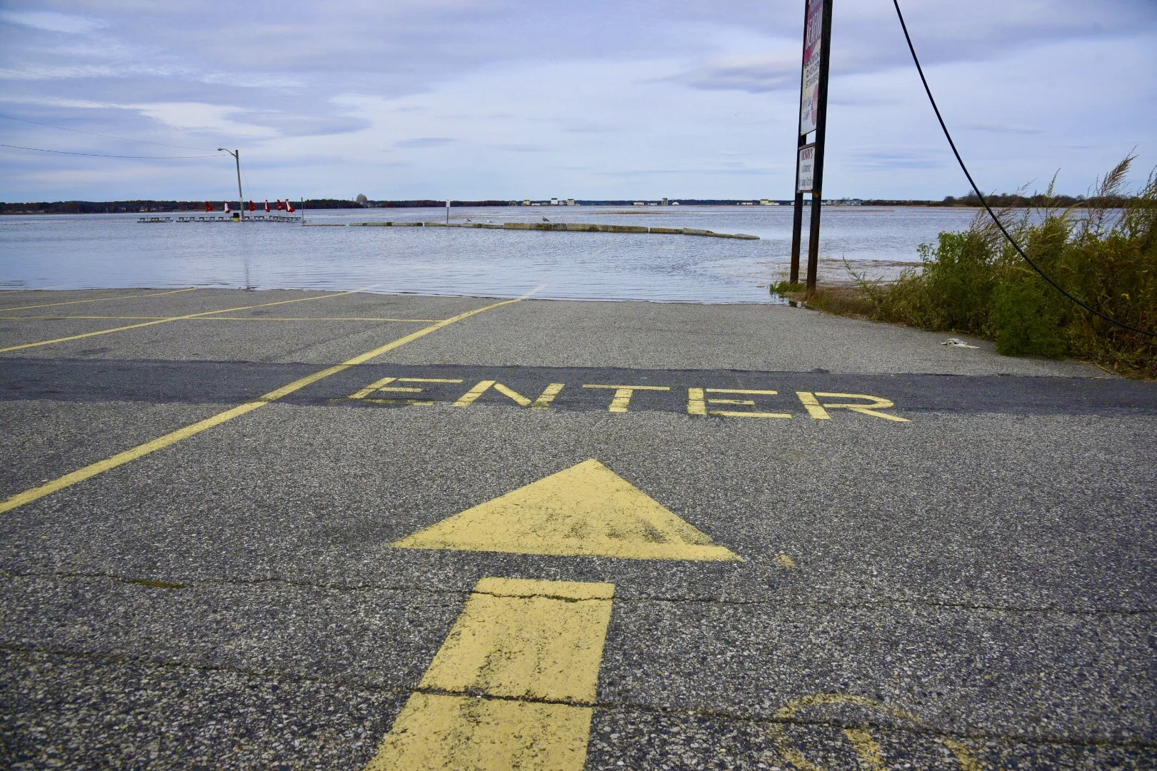 Picturing Rising Tides - Rochester Museum of Fine Arts